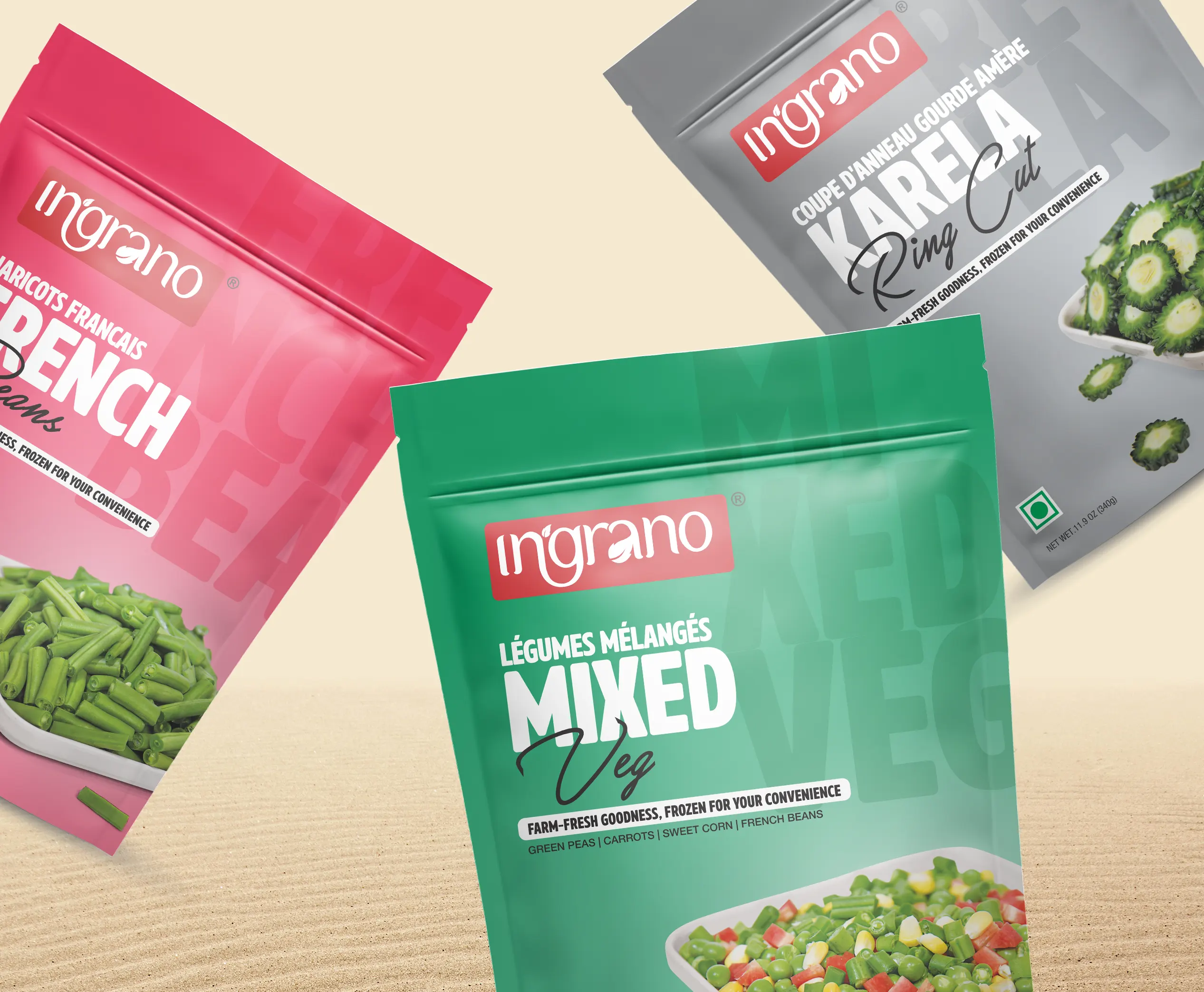 Creative Design and Branding Agency Ahmedabad - Palsa Design Studio